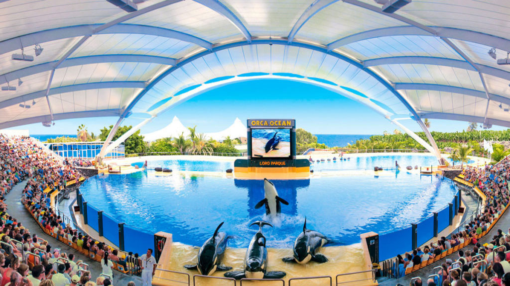 Entradas Loro Parque y Siam Park, reserve online el Twin Ticket
