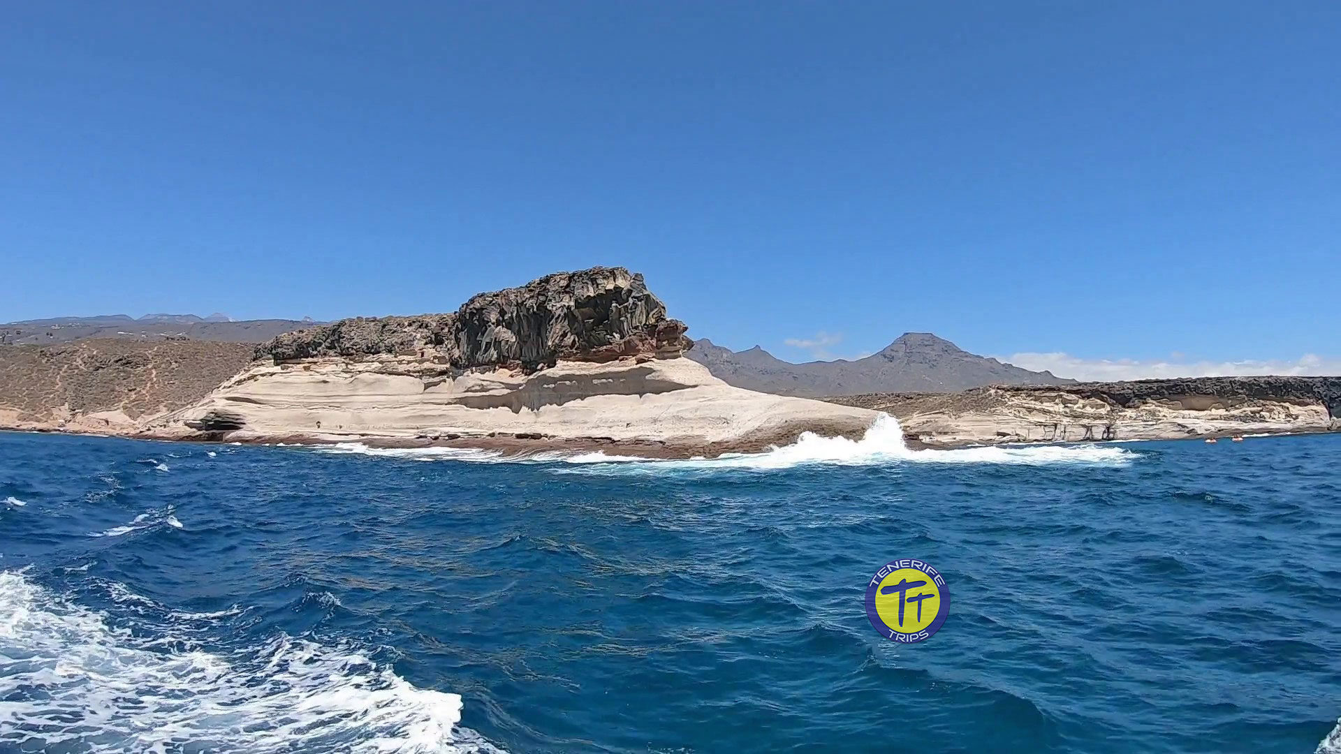 Whales in Tenerife, daily offers for boat trips; online booking.