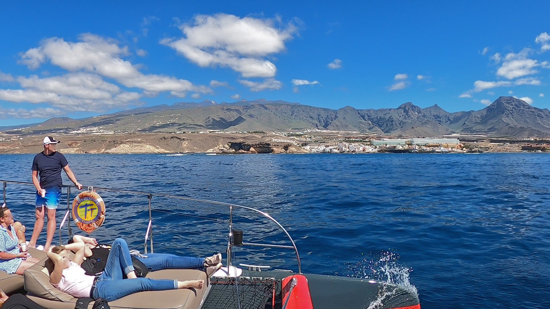 Catamaran Tenerife, whale and dolphin watching boat trip.