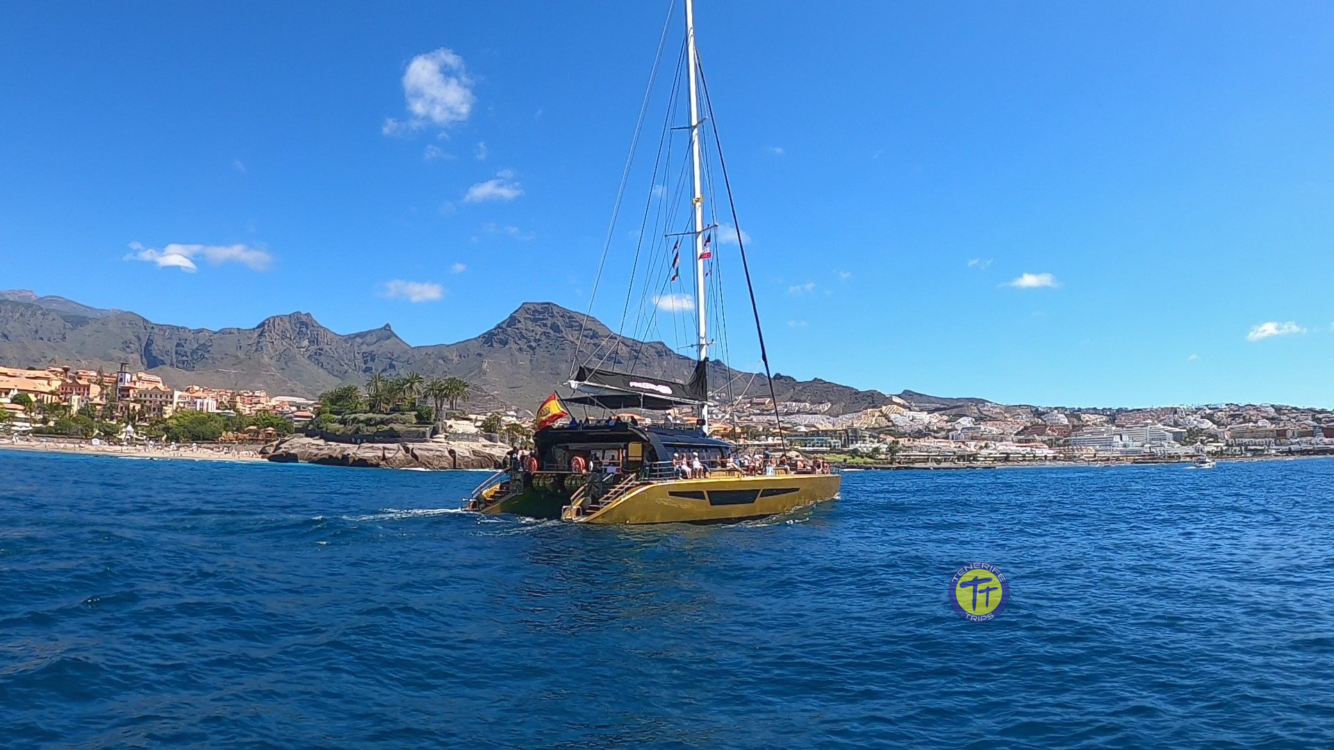 Catamaran Tenerife, whale and dolphin watching boat trip.