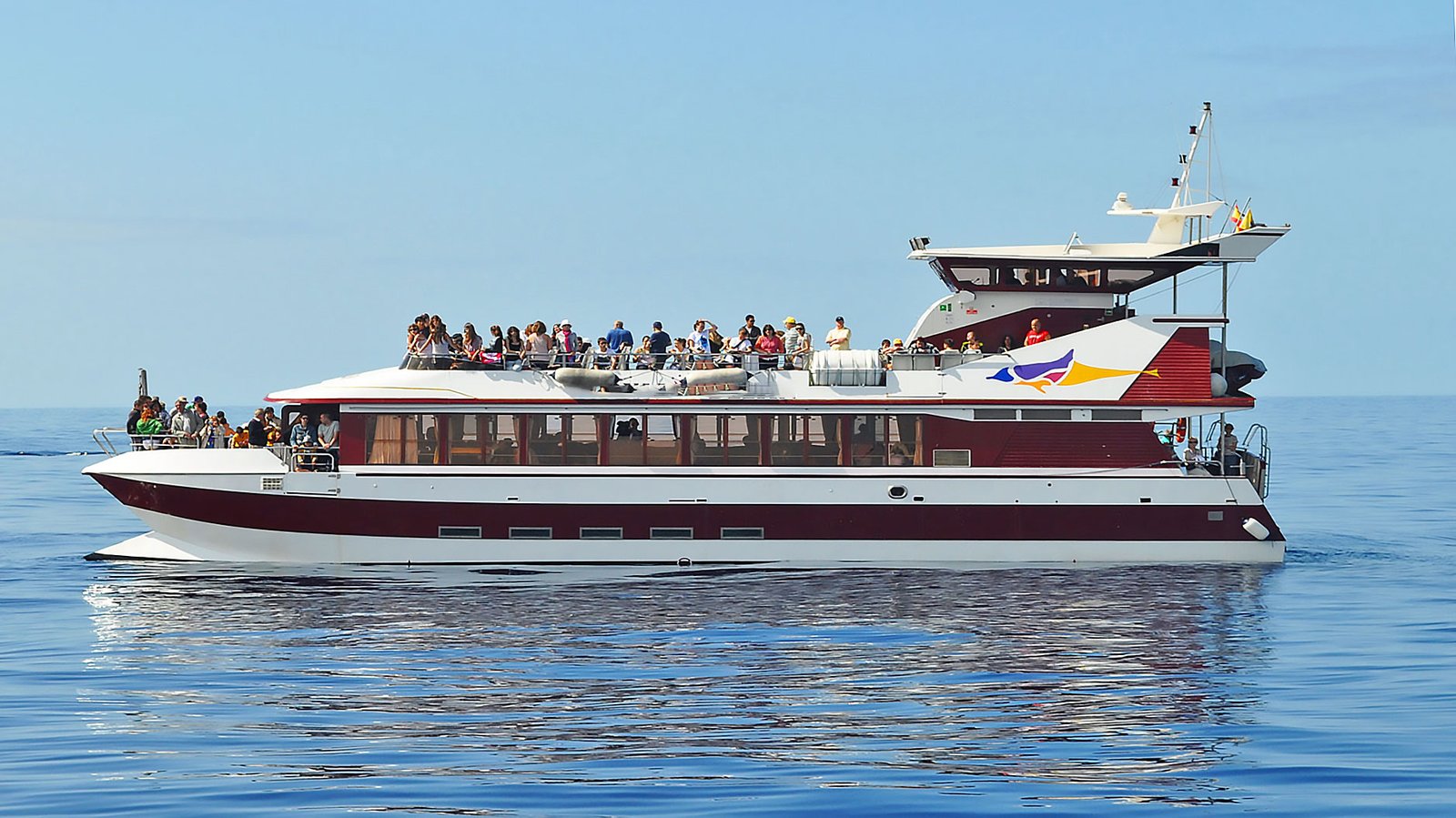 Large Boat in Tenerife, book online now your whale watching tour