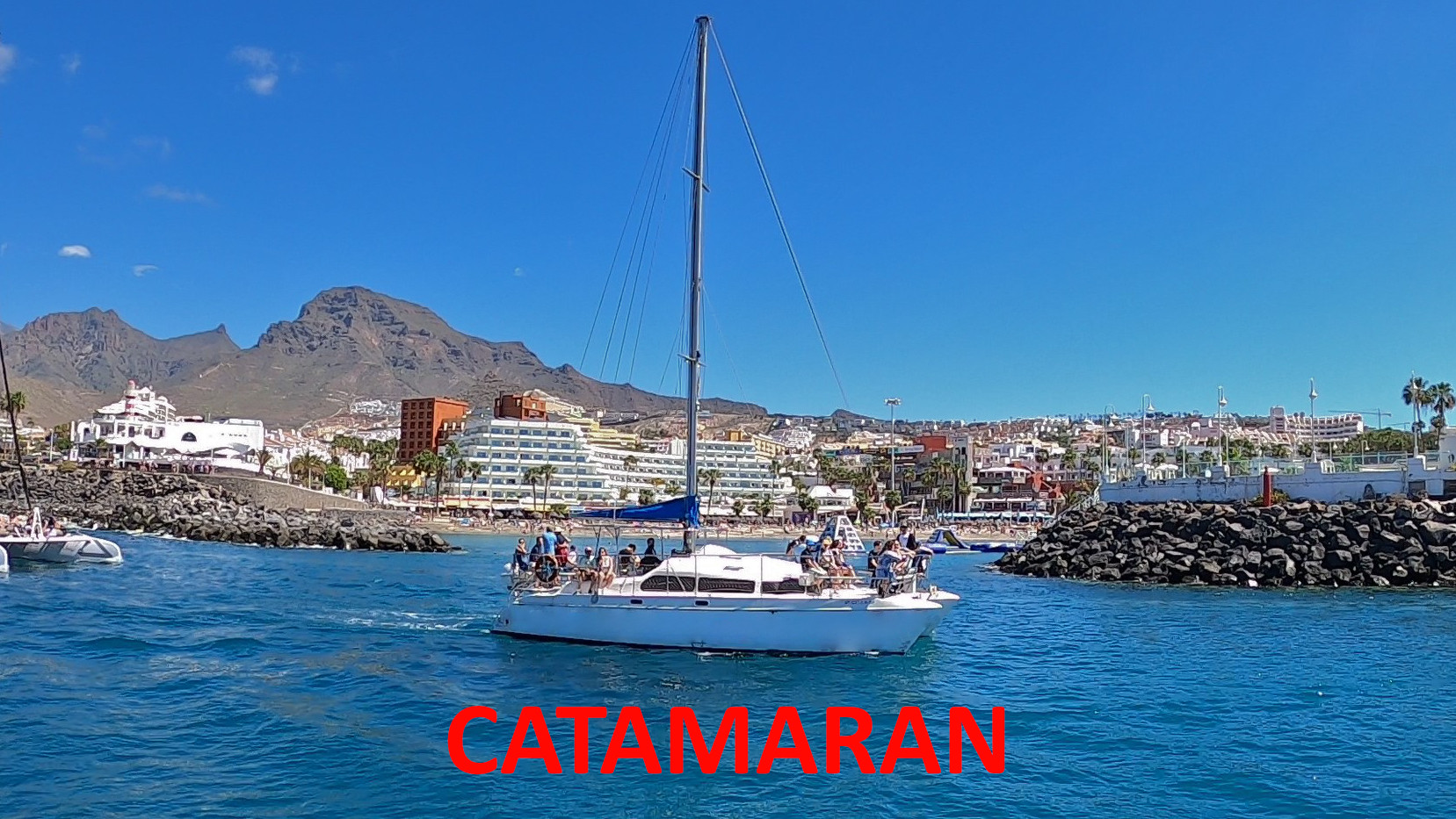Tenerife Dolphins and Whales watching boat trips, Private Charter